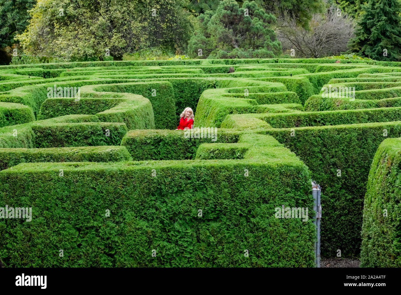 Labyrinth hecke -Fotos und -Bildmaterial in hoher Auflösung – Alamy