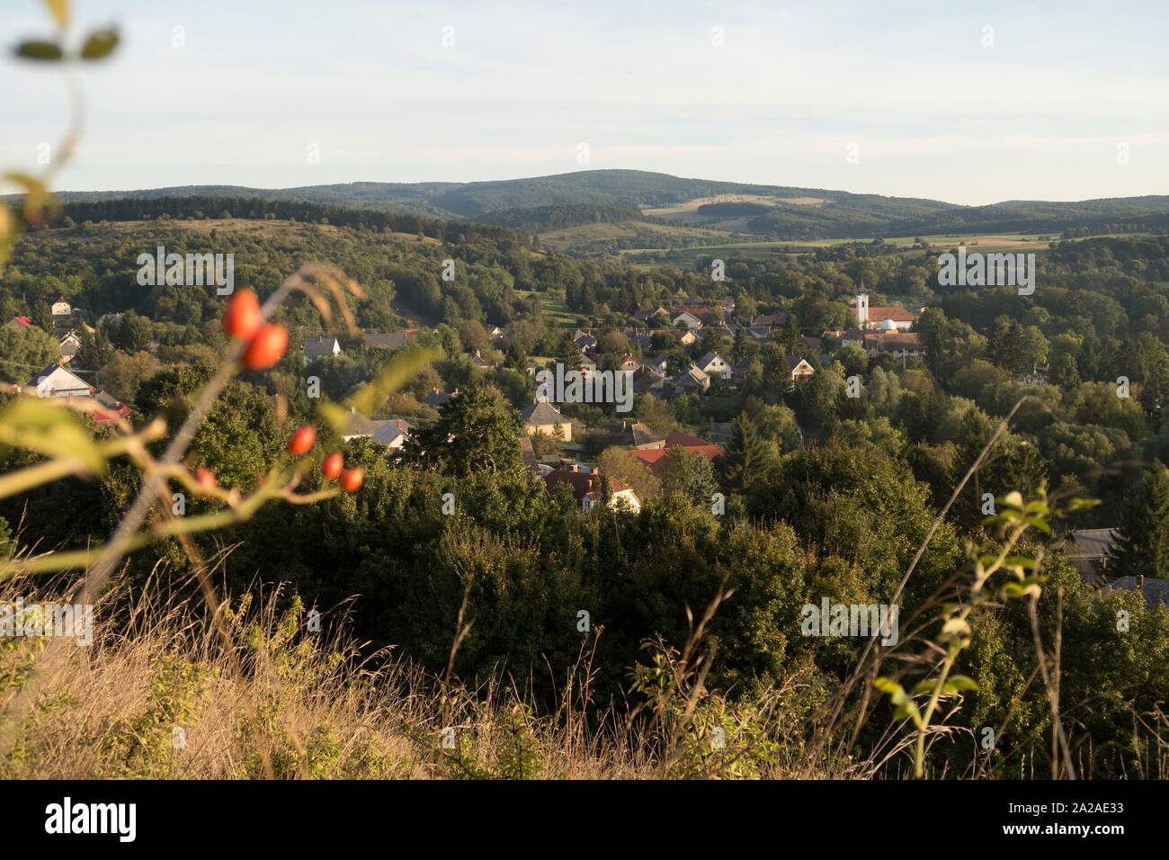 Szent kut -Fotos und -Bildmaterial in hoher Auflösung – Alamy