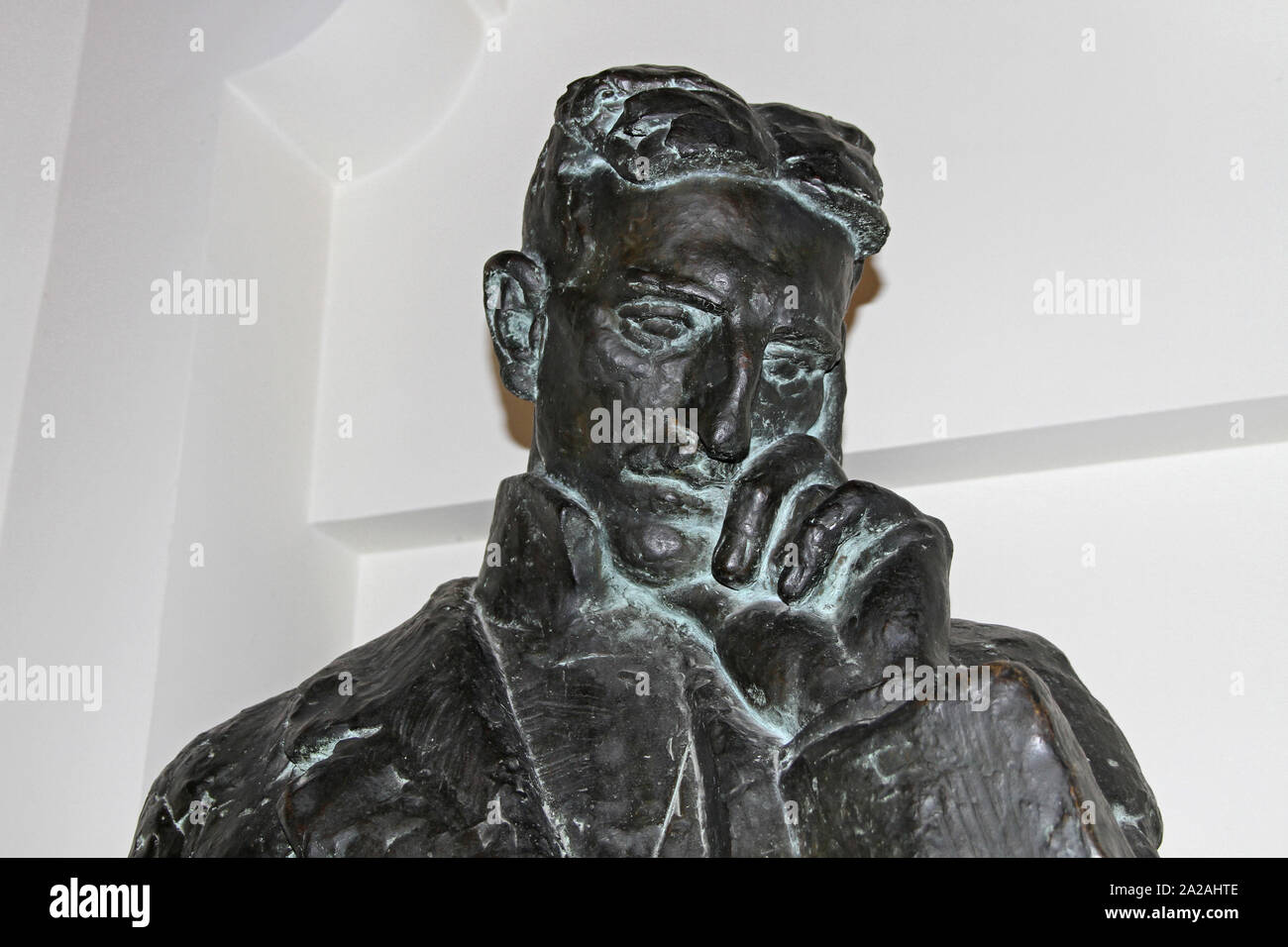 Tesla vasenka -Fotos und -Bildmaterial in hoher Auflösung – Alamy