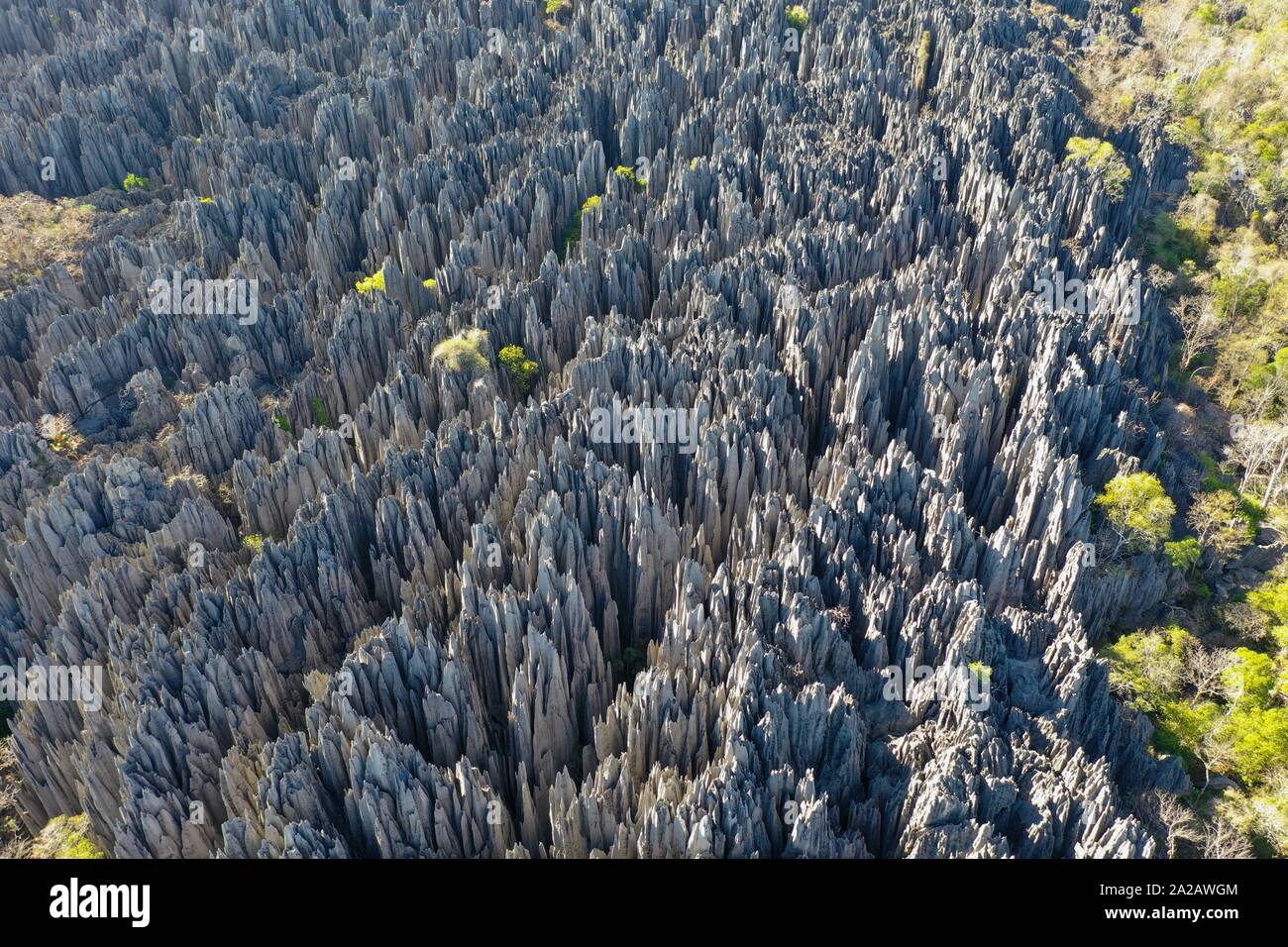 Karst kalkstein -Fotos und -Bildmaterial in hoher Auflösung – Alamy