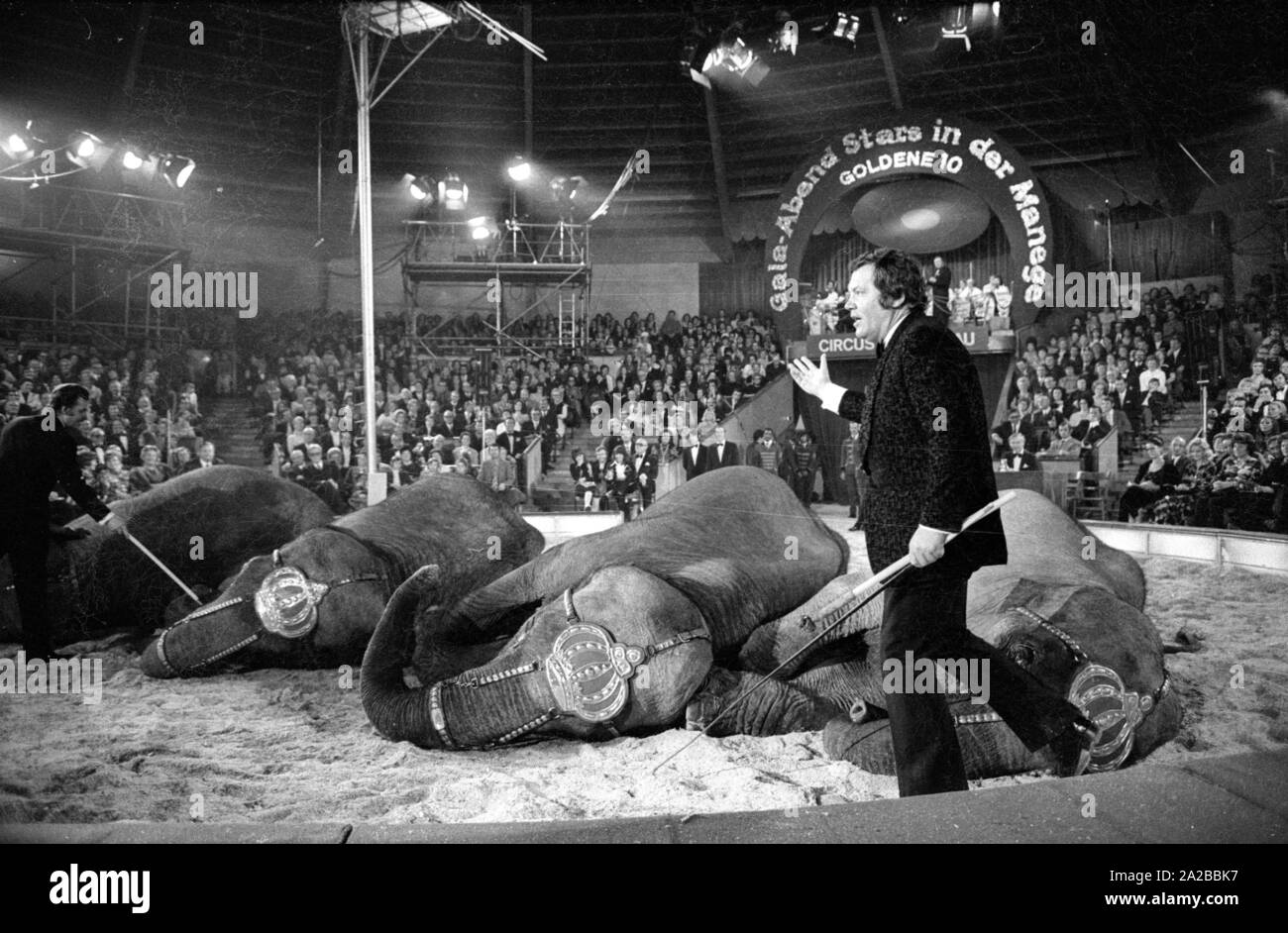 German showmaster Schwarzweiß-Stockfotos und -bilder - Alamy