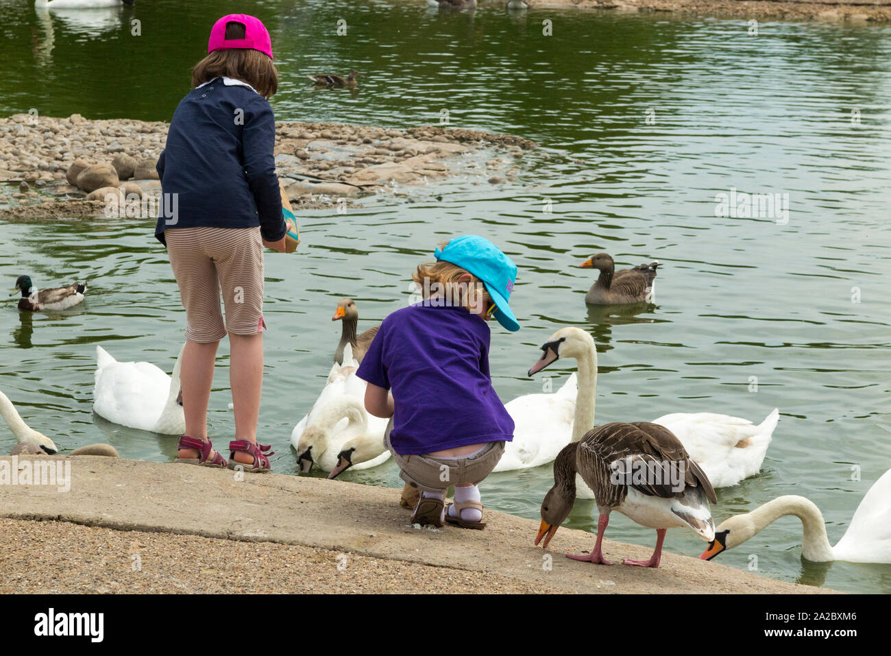 Kinder und Vogelbeobachtung Stockfotos und -bilder Kaufen - Alamy