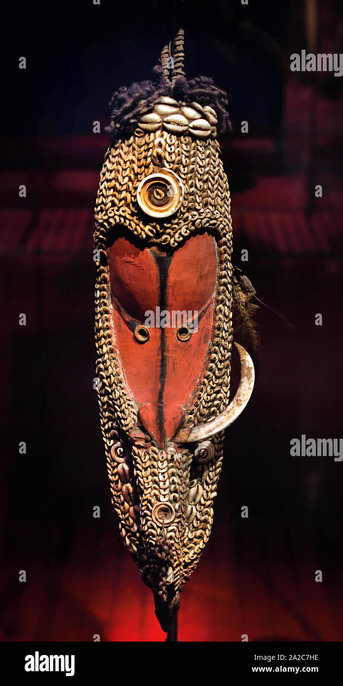 Wosera gaui -Fotos und -Bildmaterial in hoher Auflösung – Alamy