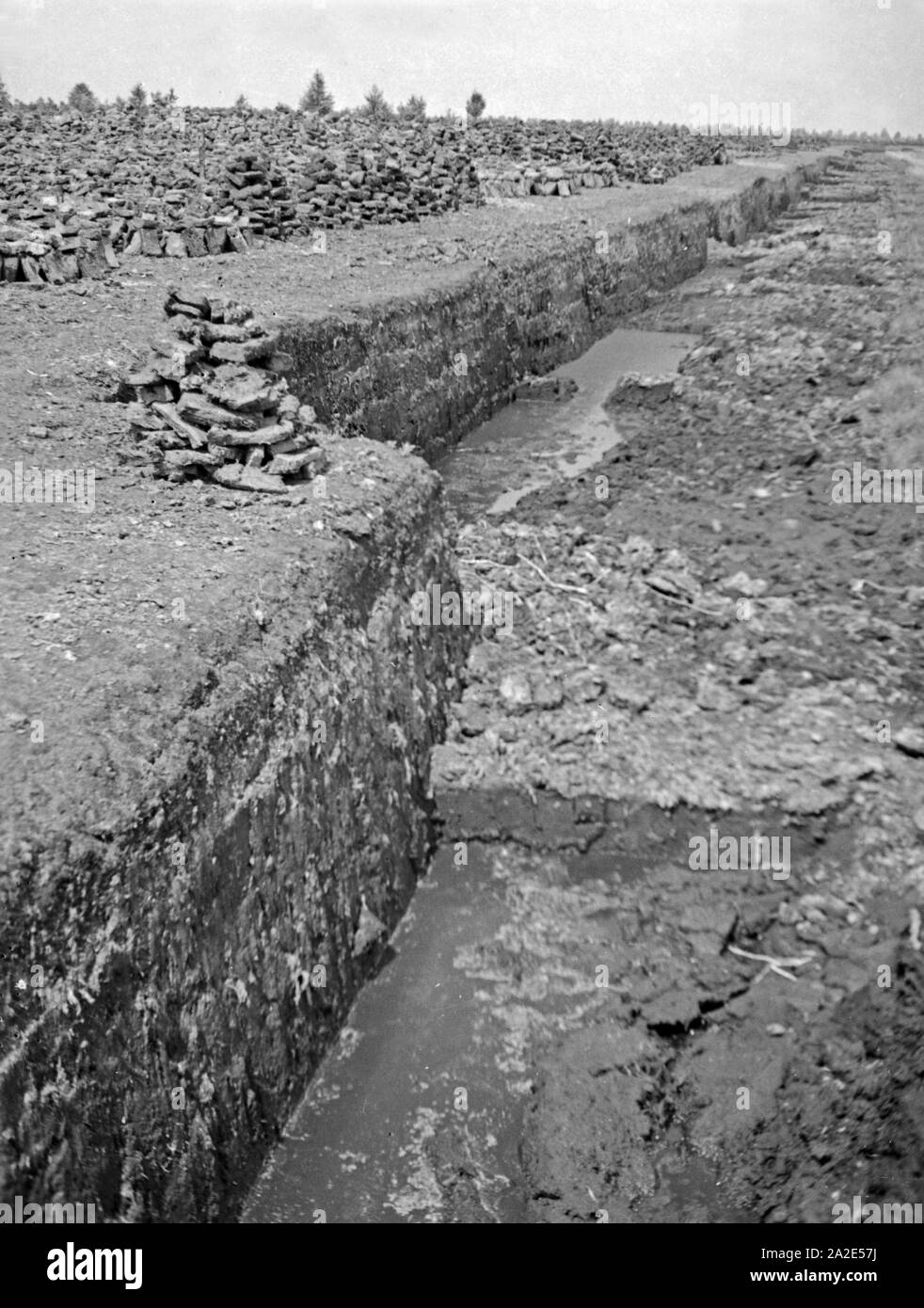 Bin torfstich im grossen moosbruch -Fotos und -Bildmaterial in hoher ...