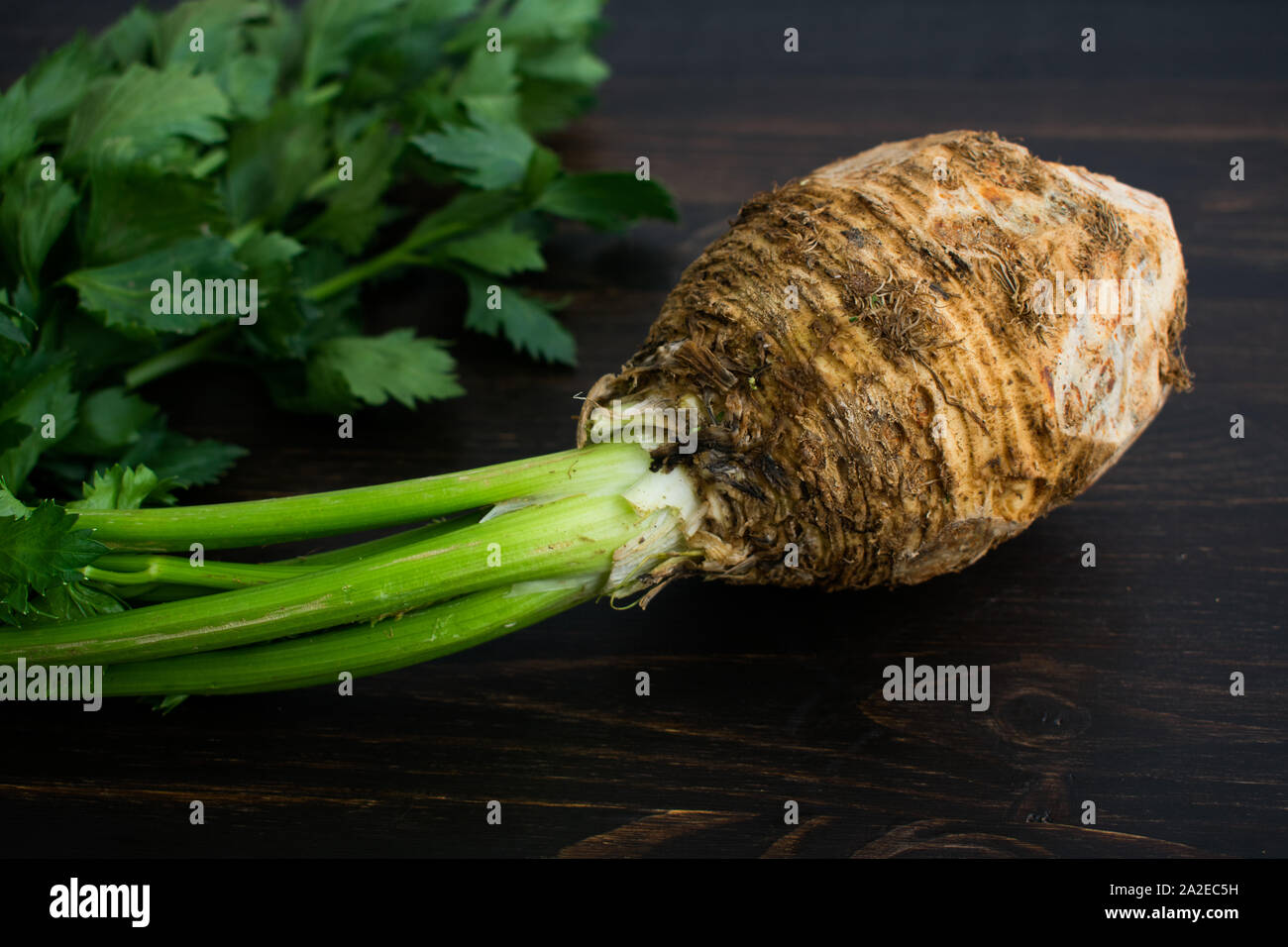 Celeriac leaves -Fotos und -Bildmaterial in hoher Auflösung – Alamy