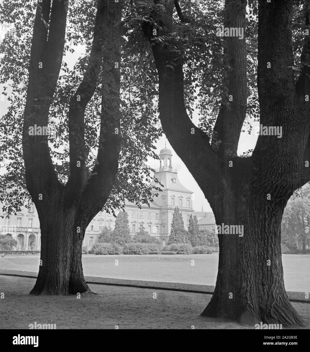 Hofgarten Bonn Stockfotos und -bilder Kaufen - Alamy