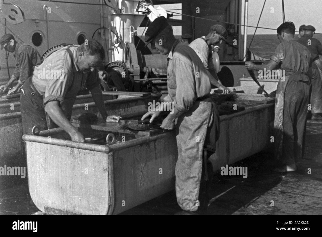 Verarbeitung eines walkadavers -Fotos und -Bildmaterial in hoher ...