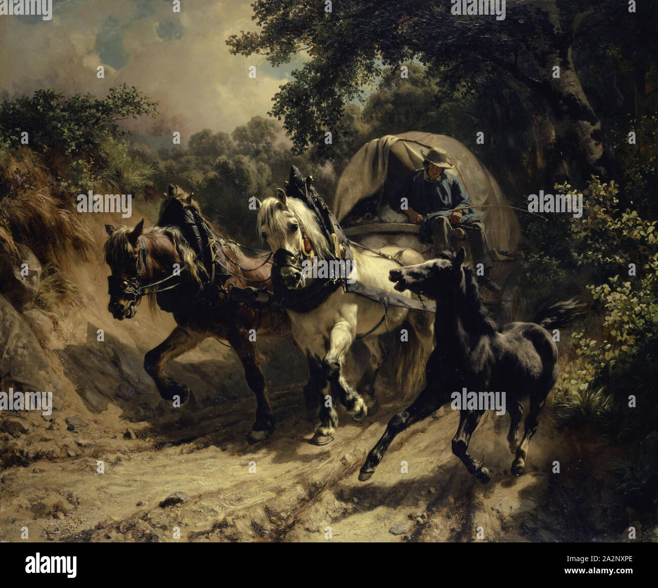 Rudolf koller -Fotos und -Bildmaterial in hoher Auflösung – Alamy