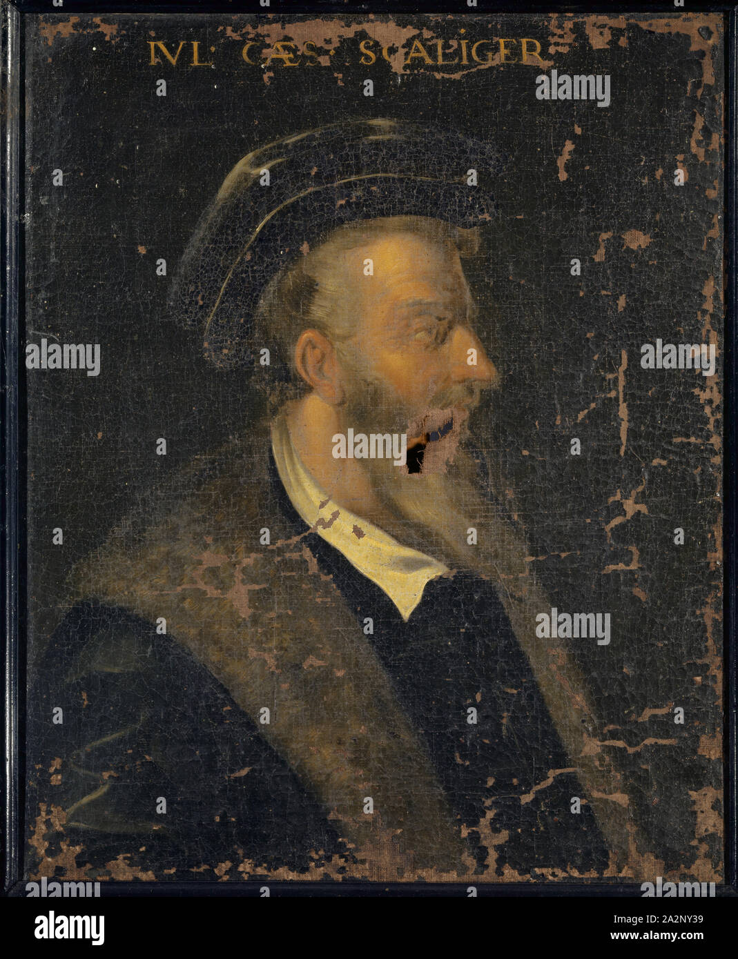 Julius caesar scaliger -Fotos und -Bildmaterial in hoher Auflösung – Alamy
