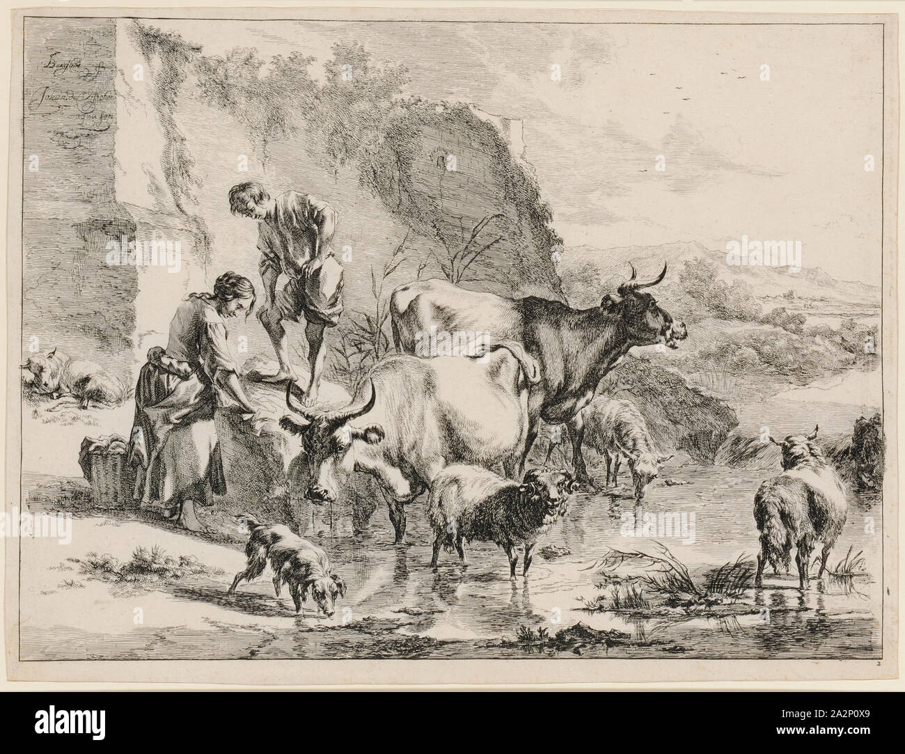 Johan de visscher aqua -Fotos und -Bildmaterial in hoher Auflösung – Alamy