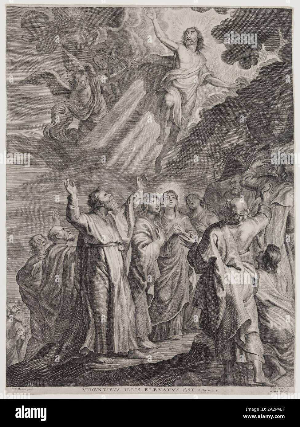 Ignatius cornelius marinus -Fotos und -Bildmaterial in hoher Auflösung ...