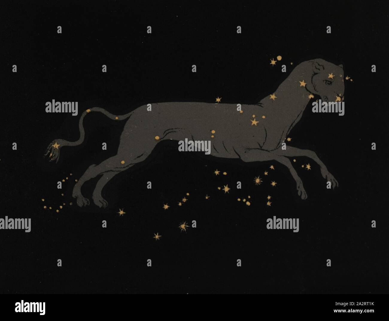 Sternbild Luchs Stockfotos und -bilder Kaufen - Alamy