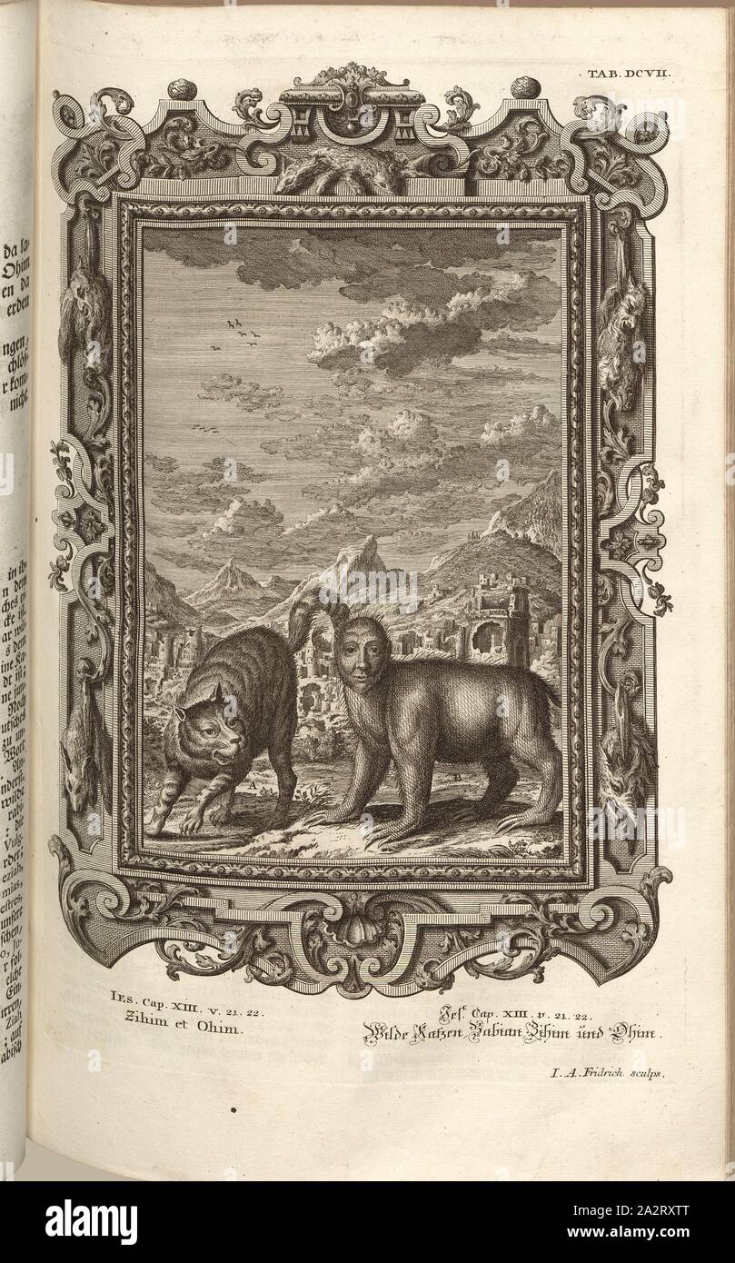 Ulrich wild -Fotos und -Bildmaterial in hoher Auflösung – Alamy