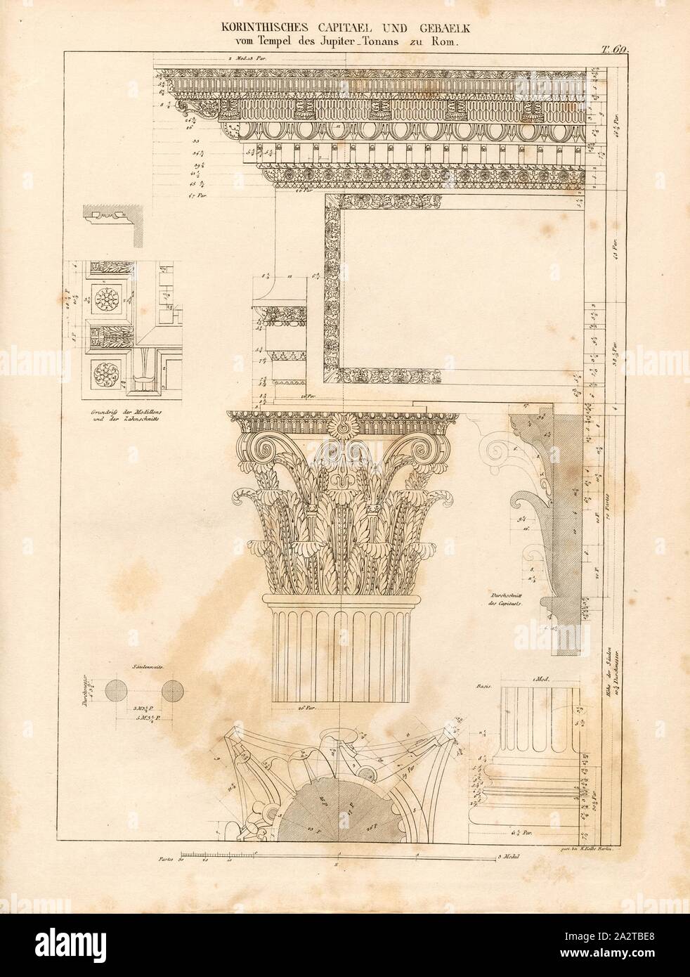Jupiter tonans -Fotos und -Bildmaterial in hoher Auflösung – Alamy