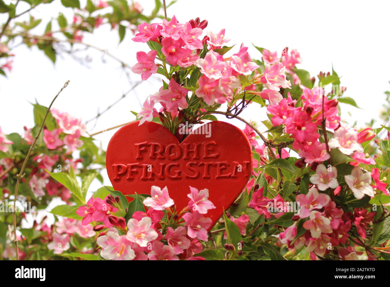 Das Bild zeigt ein Herz mit dem deutschen Text happy Pfingsten im ...