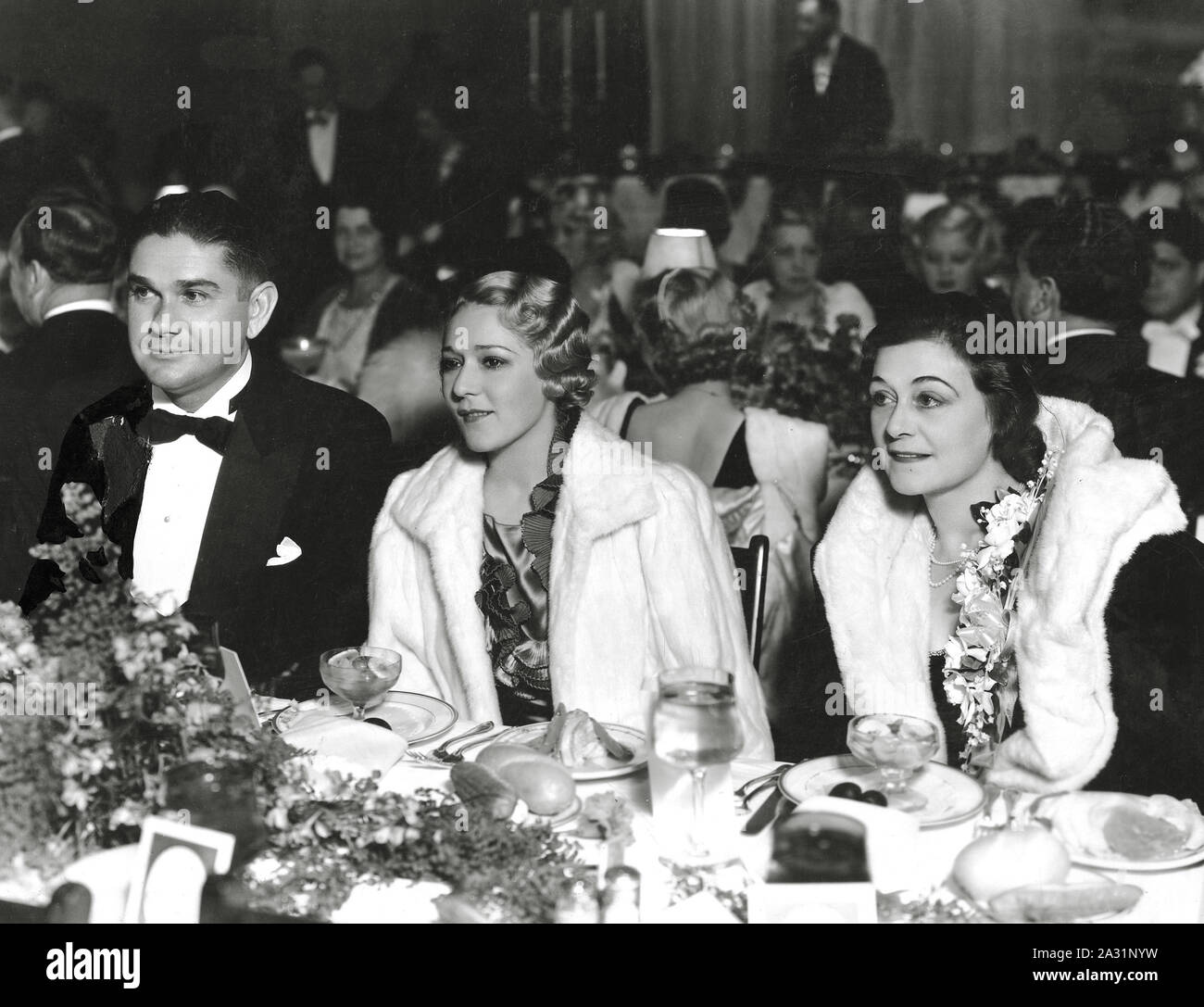 Frances marion -Fotos und -Bildmaterial in hoher Auflösung – Alamy
