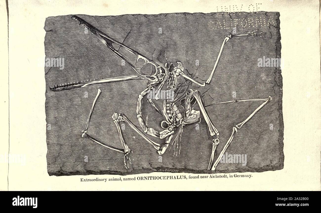 Theorie der erde -Fotos und -Bildmaterial in hoher Auflösung – Alamy