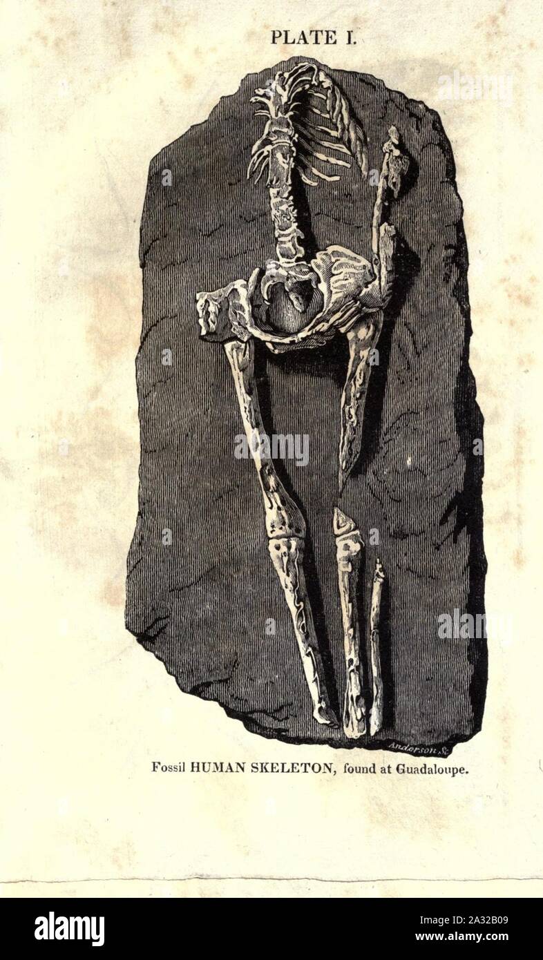 Theorie der erde -Fotos und -Bildmaterial in hoher Auflösung – Alamy