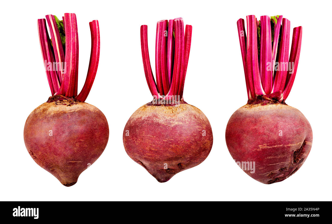 Beet rote beete -Fotos und -Bildmaterial in hoher Auflösung – Alamy