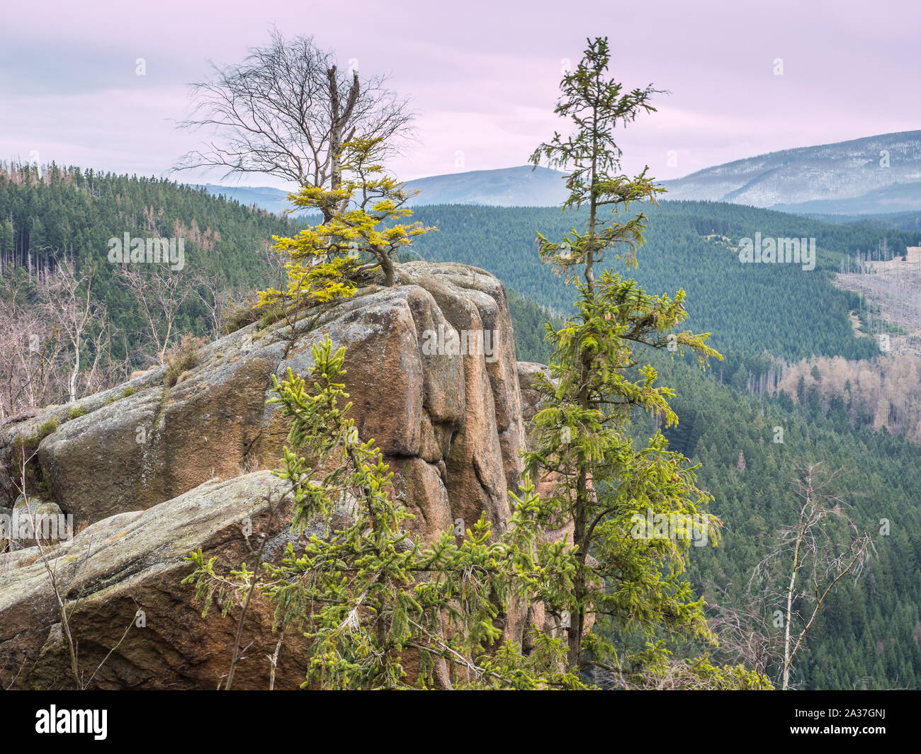 High level harz -Fotos und -Bildmaterial in hoher Auflösung – Alamy