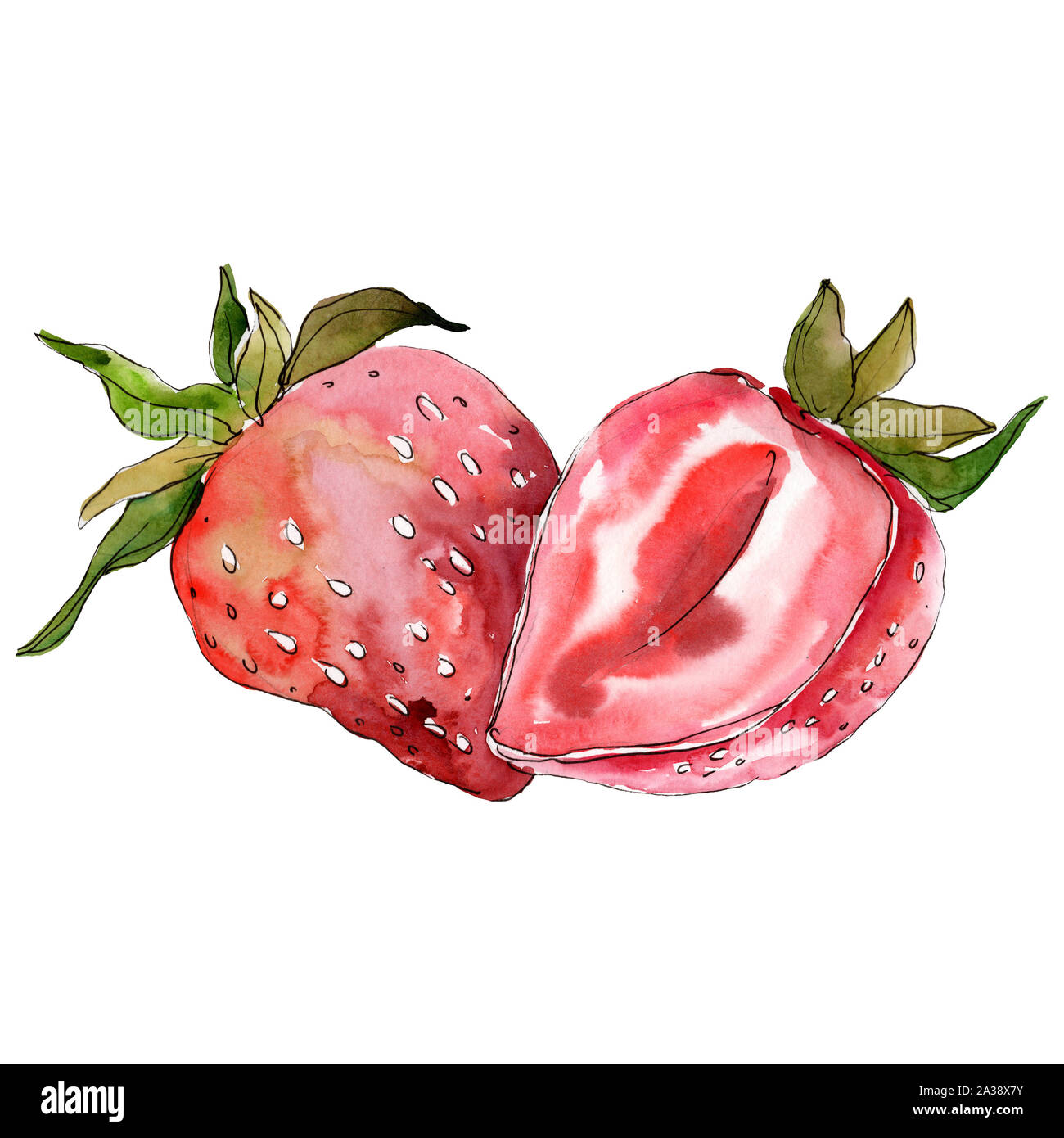 Erdbeere Zeichnung Stockfotos und -bilder Kaufen - Alamy