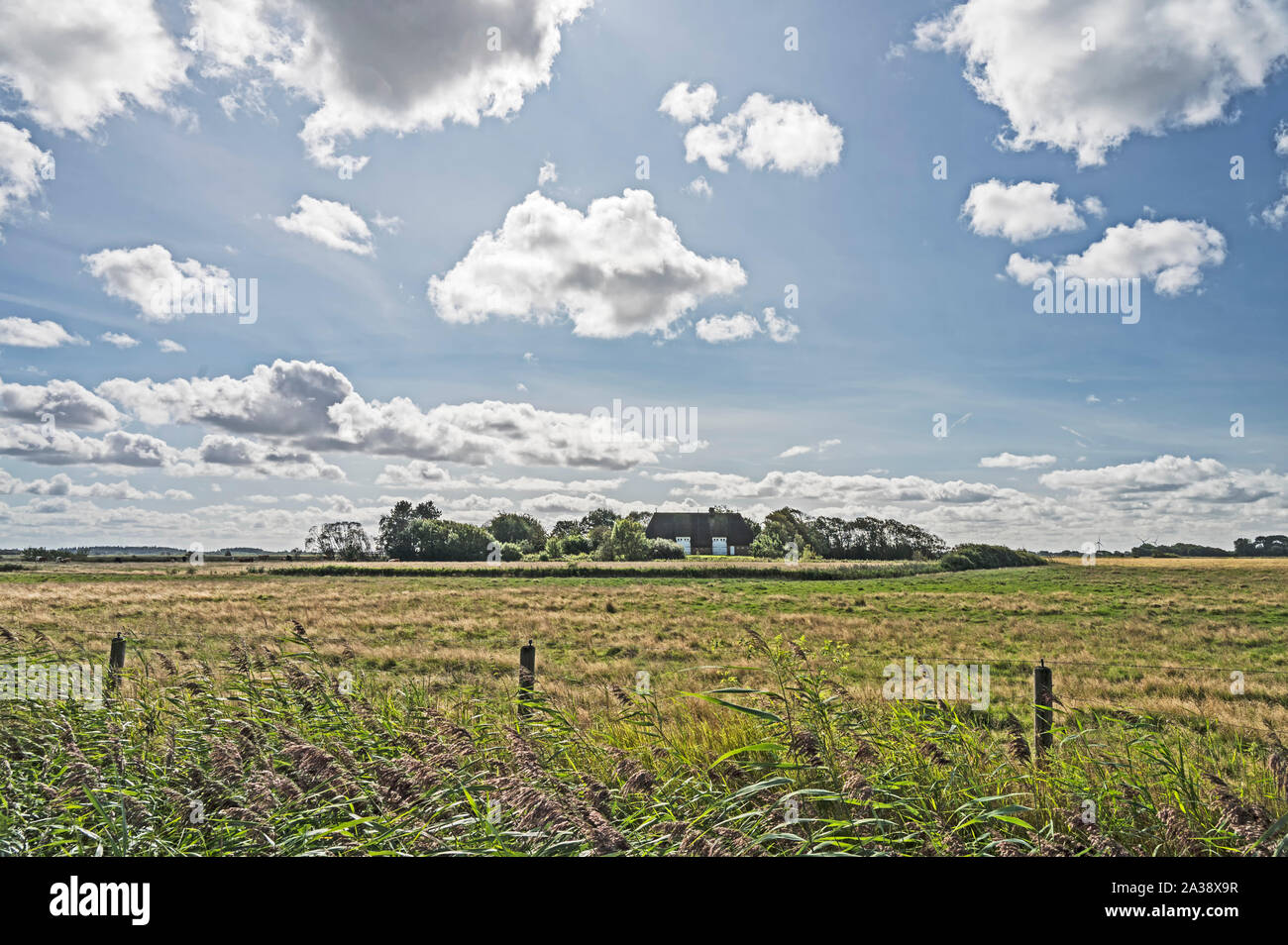 Landschaft im Norden Deutschlands in der Nähe des Haus des Malers Emil ...