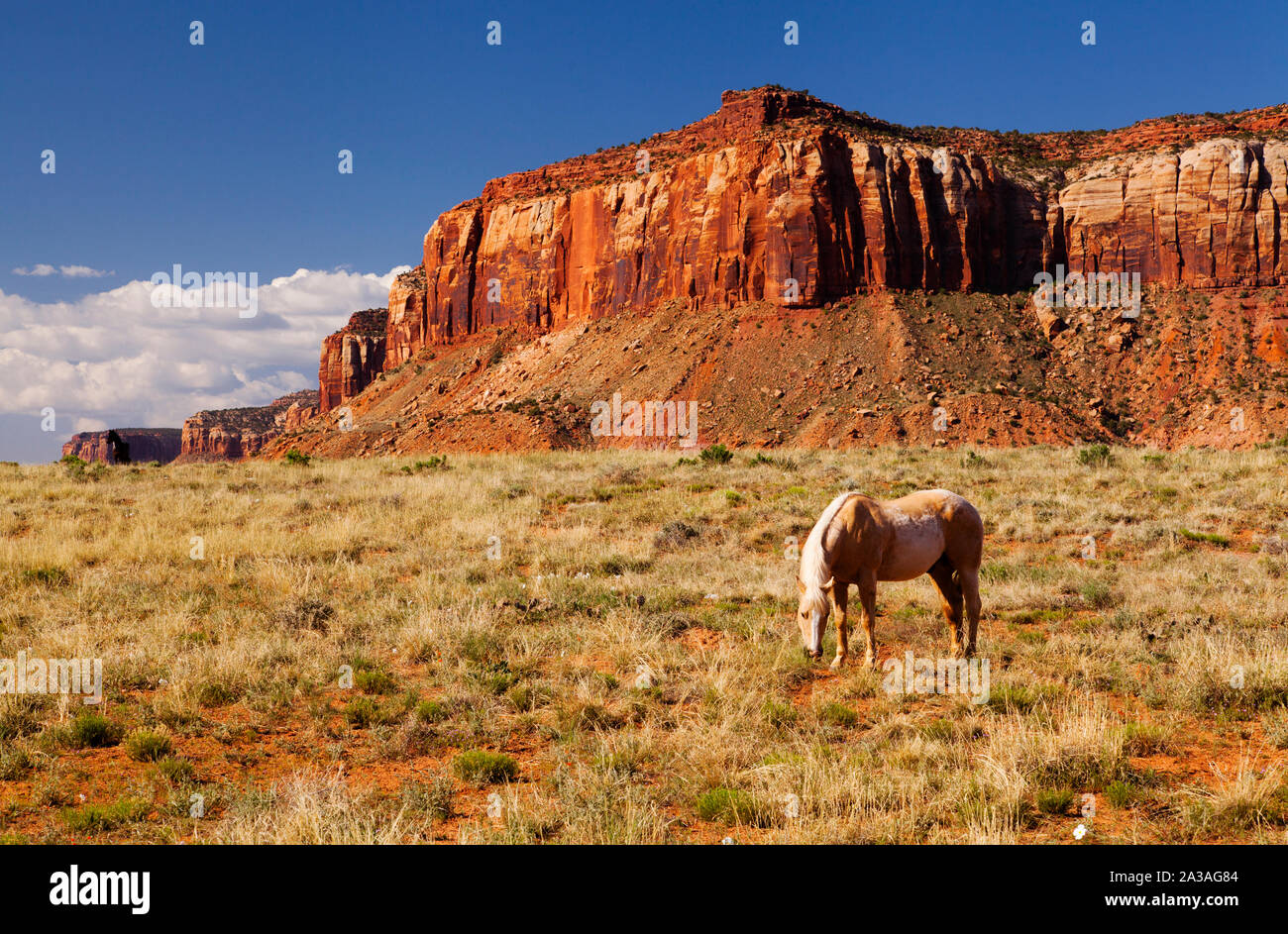 Indian horse usa -Fotos und -Bildmaterial in hoher Auflösung – Alamy