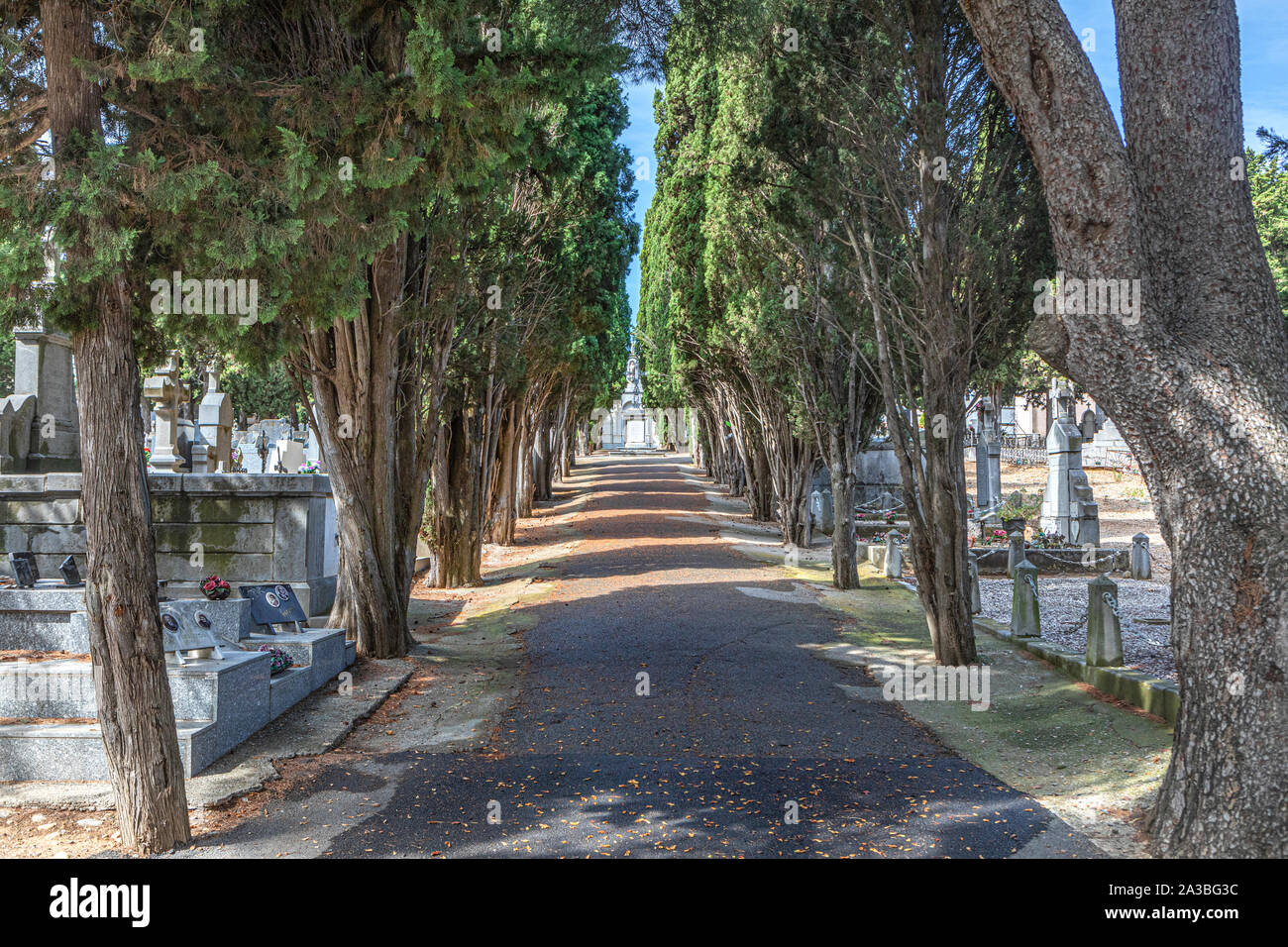 Friedhof allee -Fotos und -Bildmaterial in hoher Auflösung – Alamy