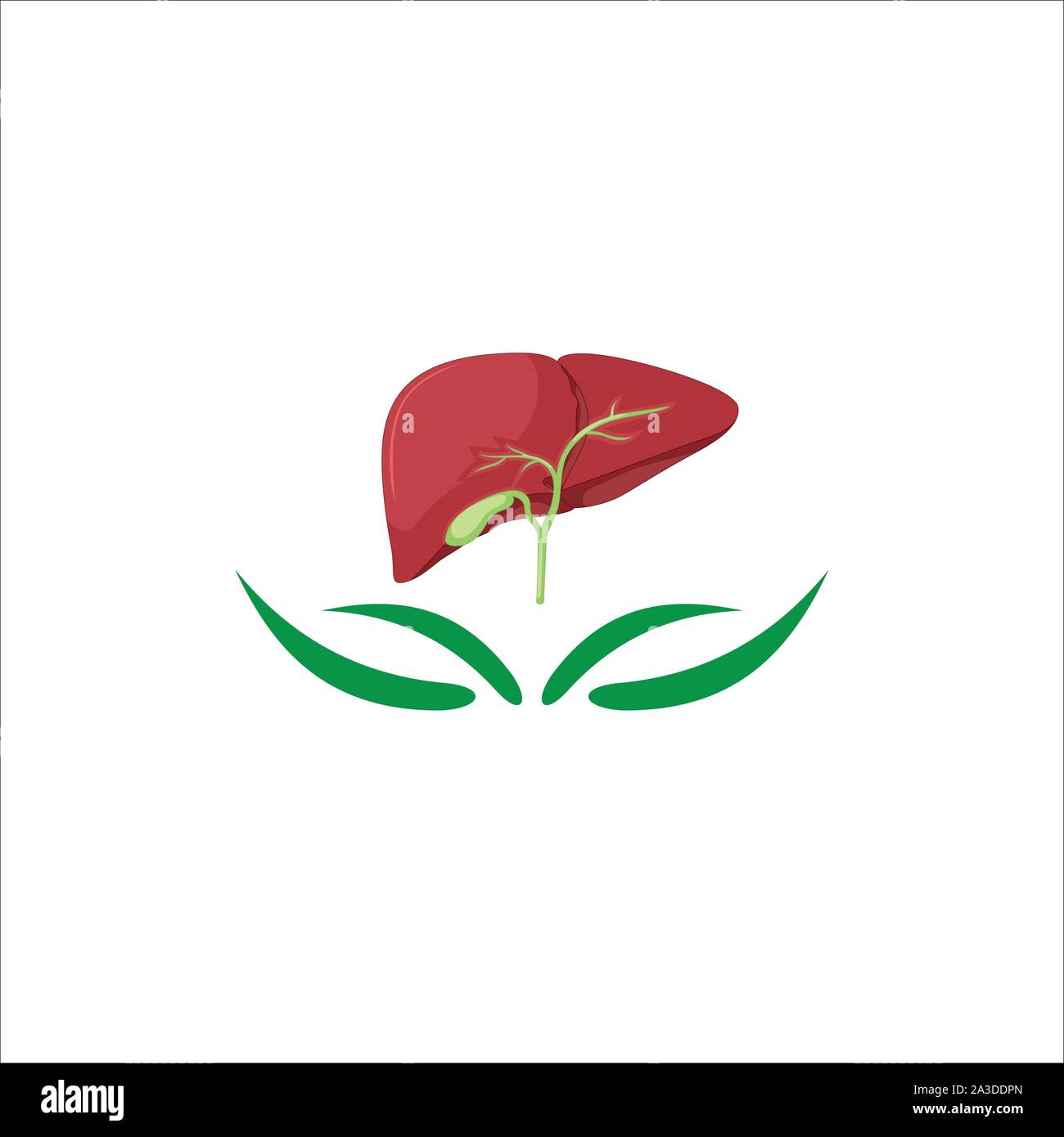 Vektor Leber Symbol Flachbild-Logo, menschliche Gesundheit Krankheit ...