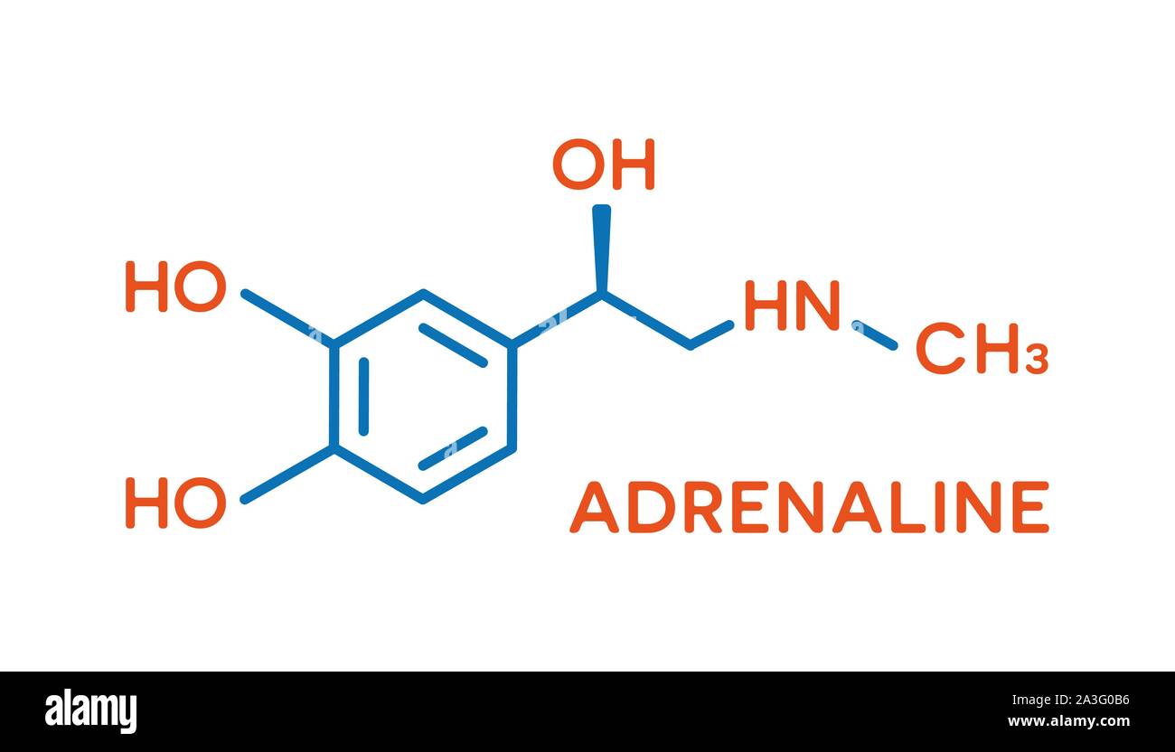 Formel der menschlichen hormone -Fotos und -Bildmaterial in hoher ...