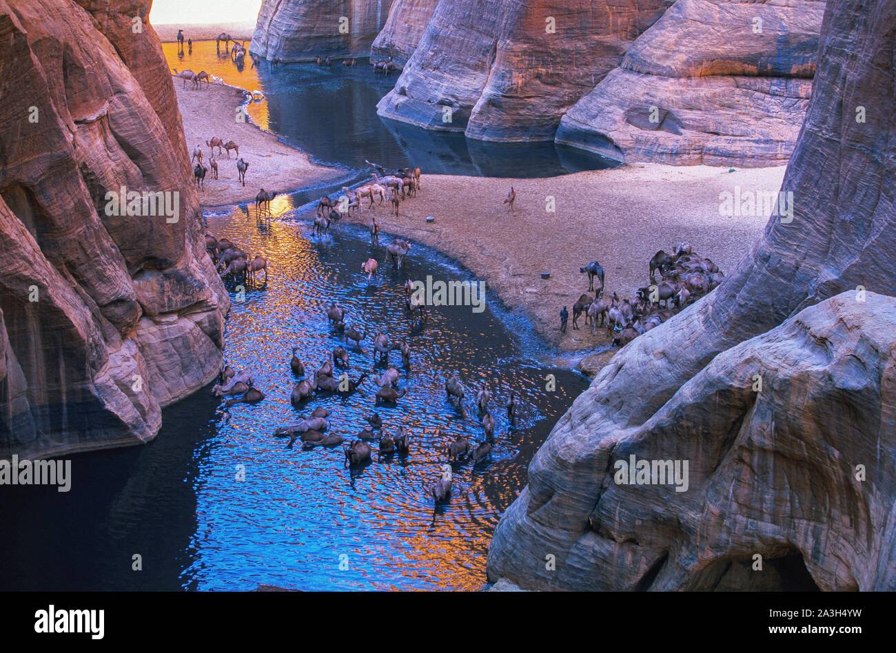Tschad, Ennedi, Sahara, Guelta d'Archei im ennedi Massiv ...