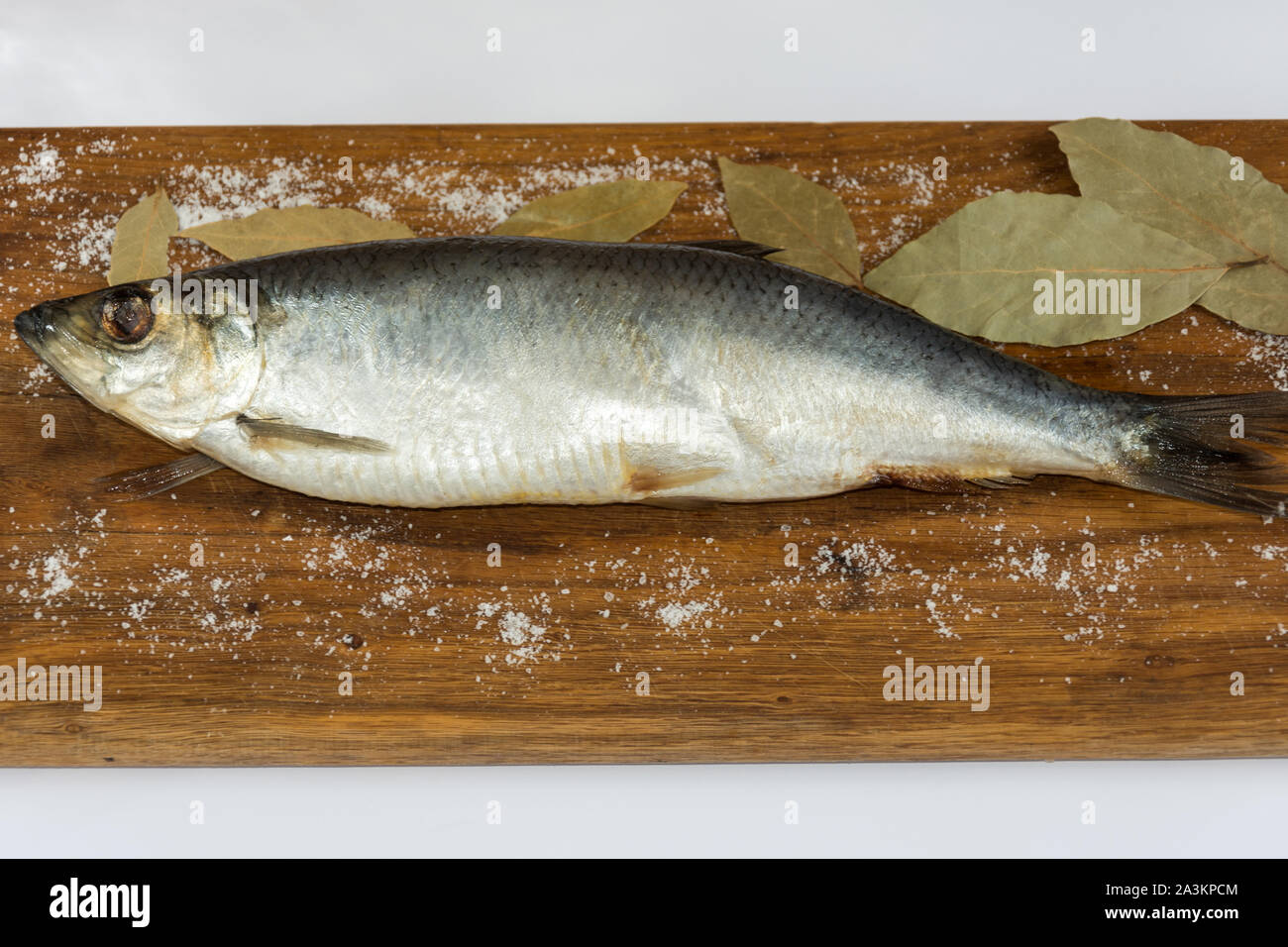 Heringsfisch Ganz Stockfotos und -bilder Kaufen - Alamy