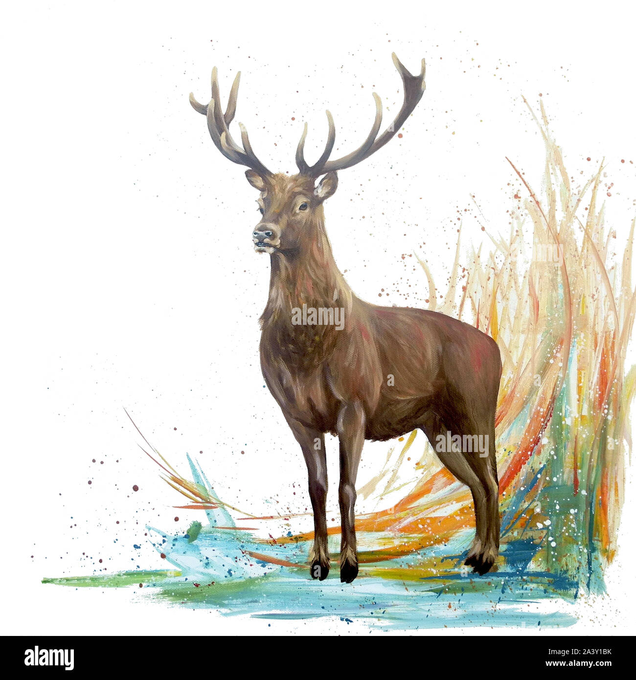 Hirsch malerei -Fotos und -Bildmaterial in hoher Auflösung – Alamy