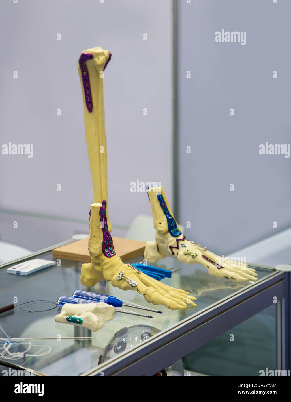Anatomische platten -Fotos und -Bildmaterial in hoher Auflösung – Alamy