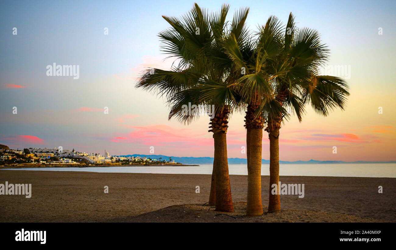 Palmen am meer -Fotos und -Bildmaterial in hoher Auflösung – Alamy
