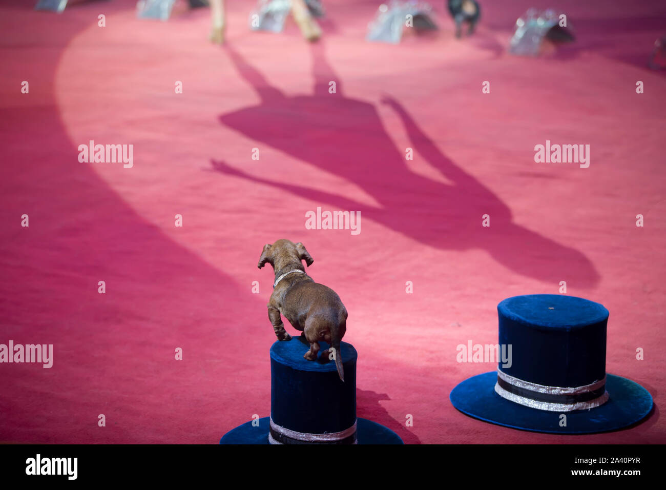 Schlechte zugleistung -Fotos und -Bildmaterial in hoher Auflösung – Alamy