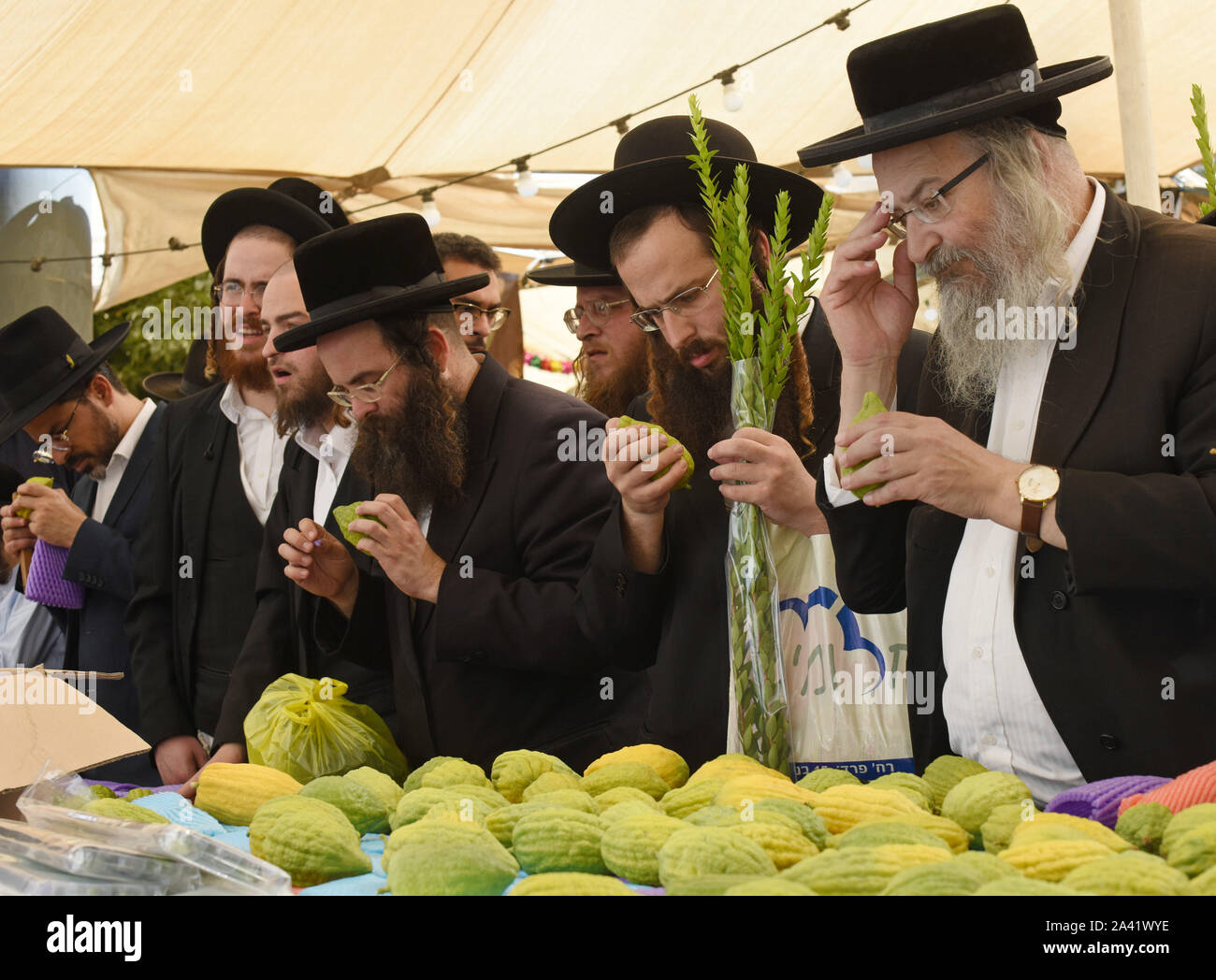 Sukkah israel desert -Fotos und -Bildmaterial in hoher Auflösung – Alamy