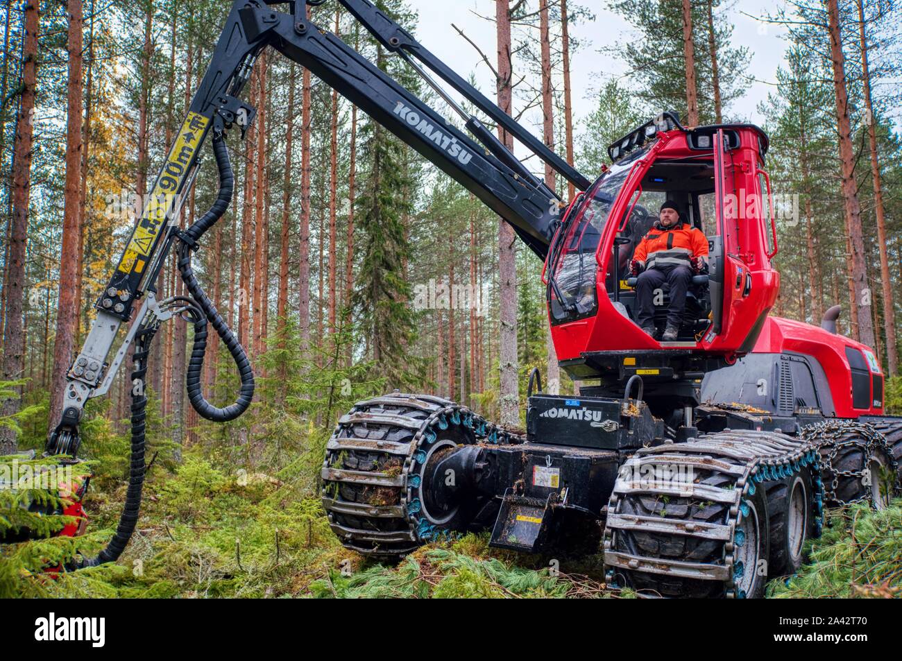 Tree harvester -Fotos und -Bildmaterial in hoher Auflösung – Alamy