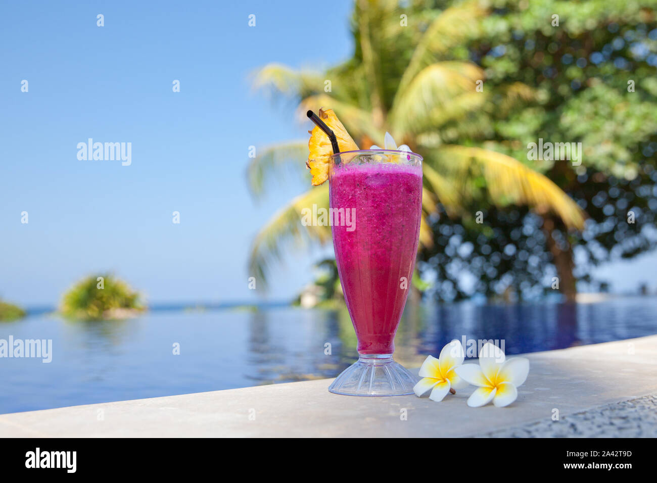 Drachenfrucht shake -Fotos und -Bildmaterial in hoher Auflösung – Alamy