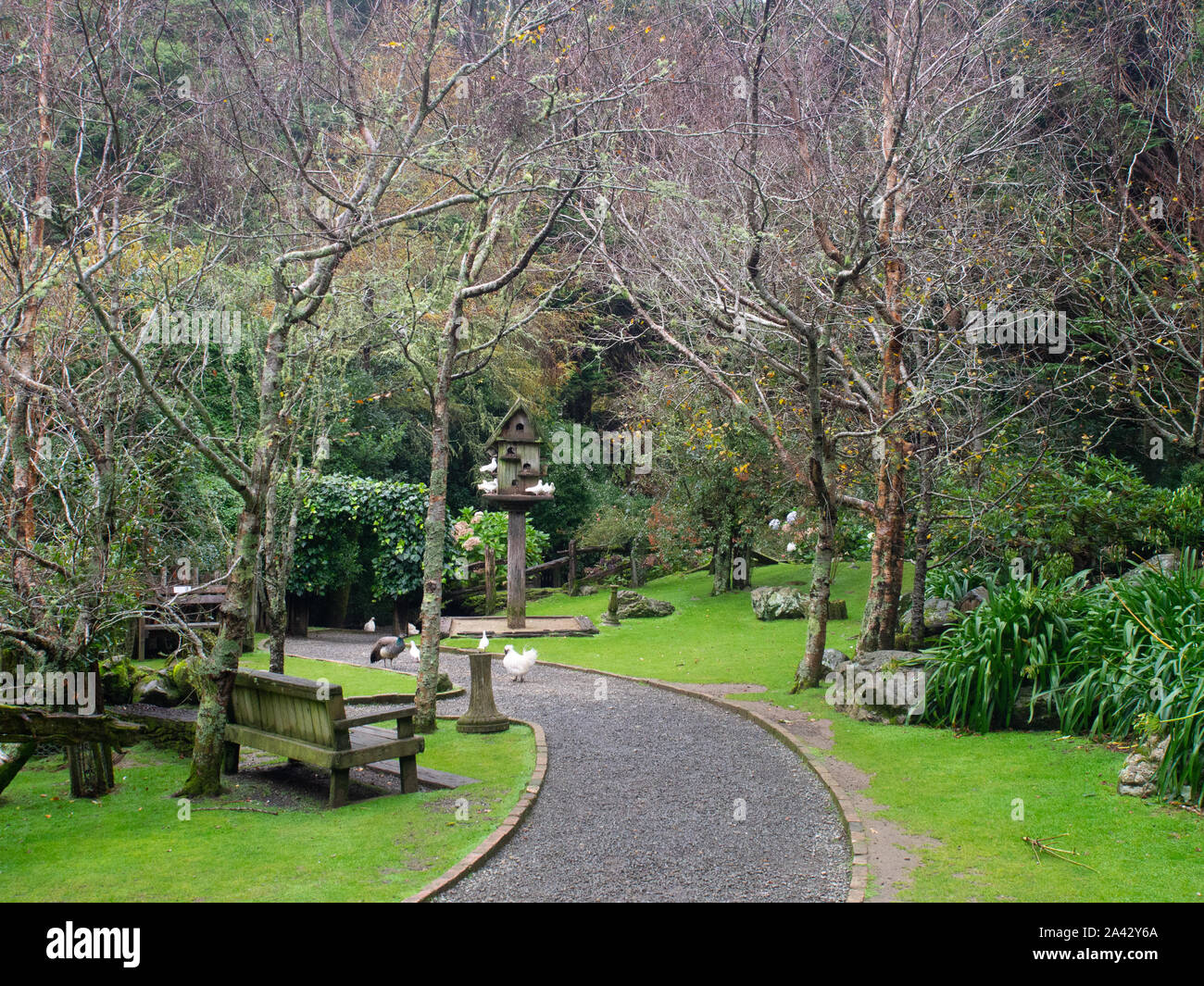 Fussbad garten -Fotos und -Bildmaterial in hoher Auflösung – Alamy