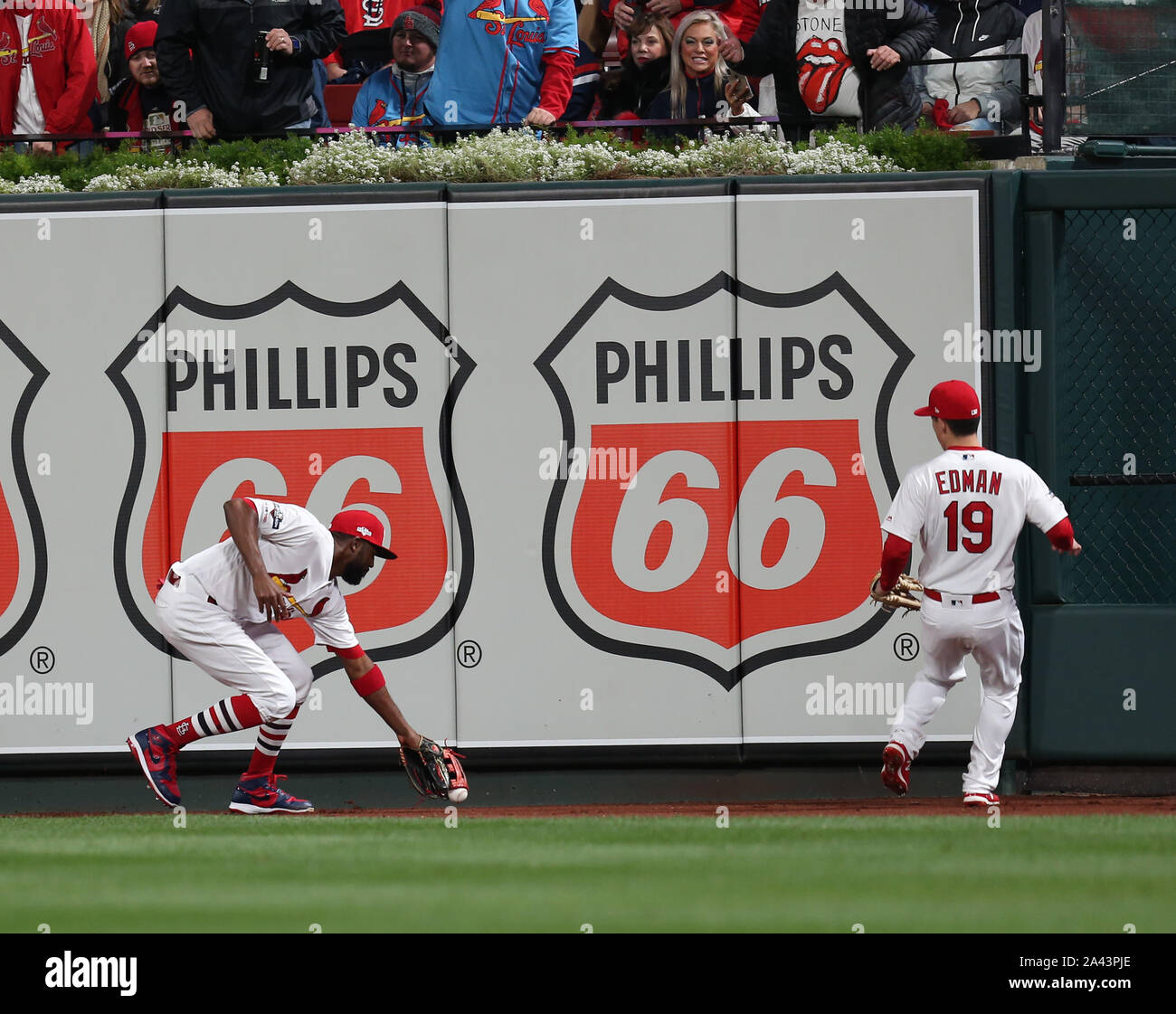 St. Louis, USA. 11 Okt, 2019. St. Louis Cardinals Mittelfeldspieler ...