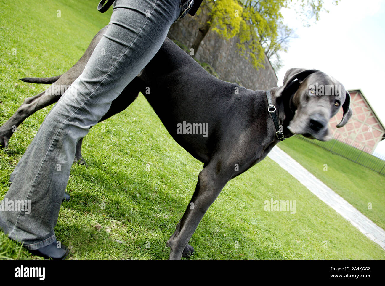 Tolle frauen -Fotos und -Bildmaterial in hoher Auflösung – Alamy