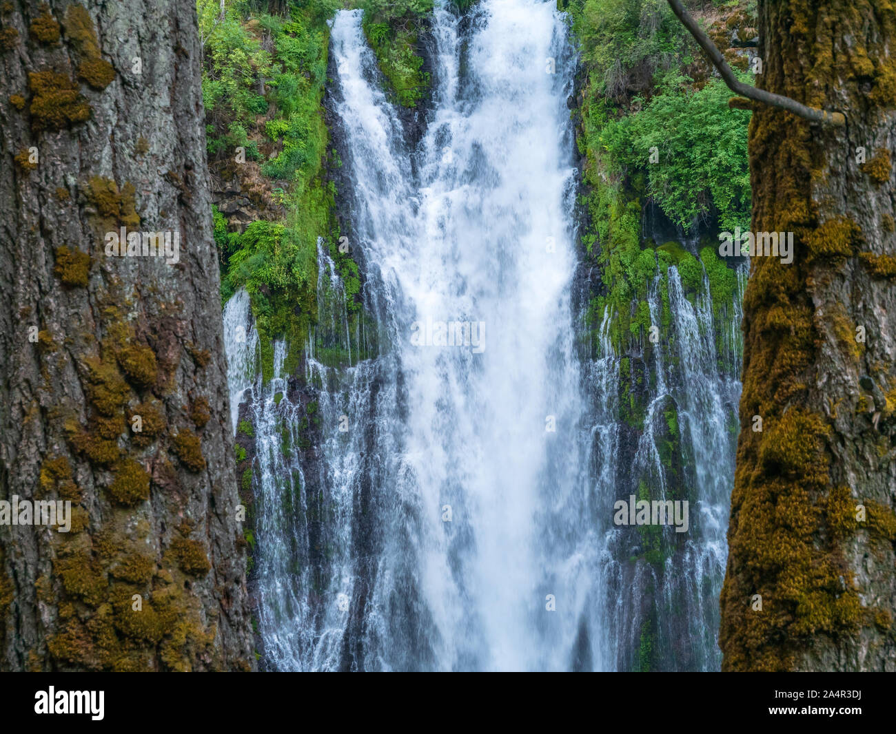 Macarthur burney falls memorial state park -Fotos und -Bildmaterial in ...