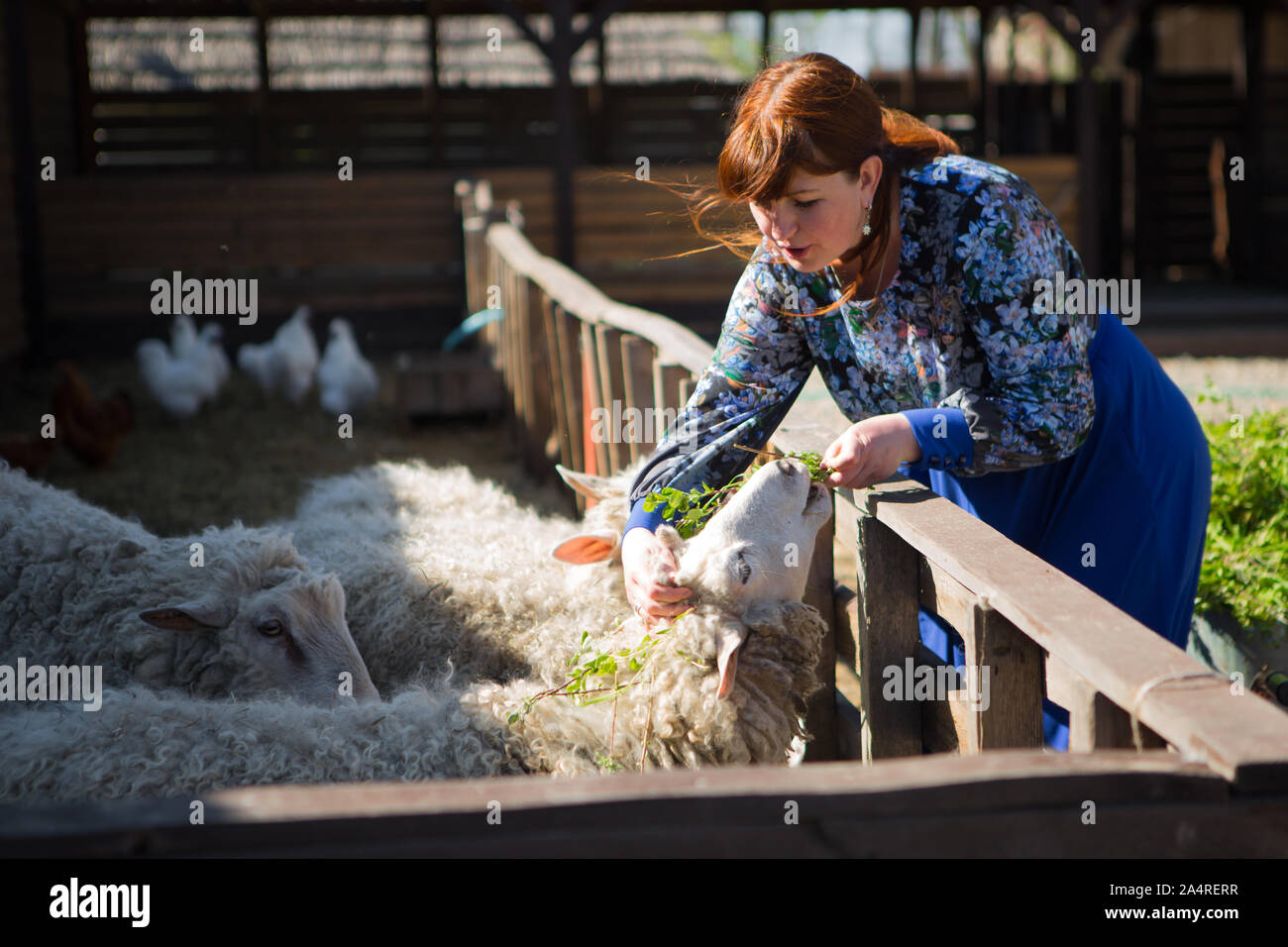 Zoo therapie -Fotos und -Bildmaterial in hoher Auflösung – Alamy