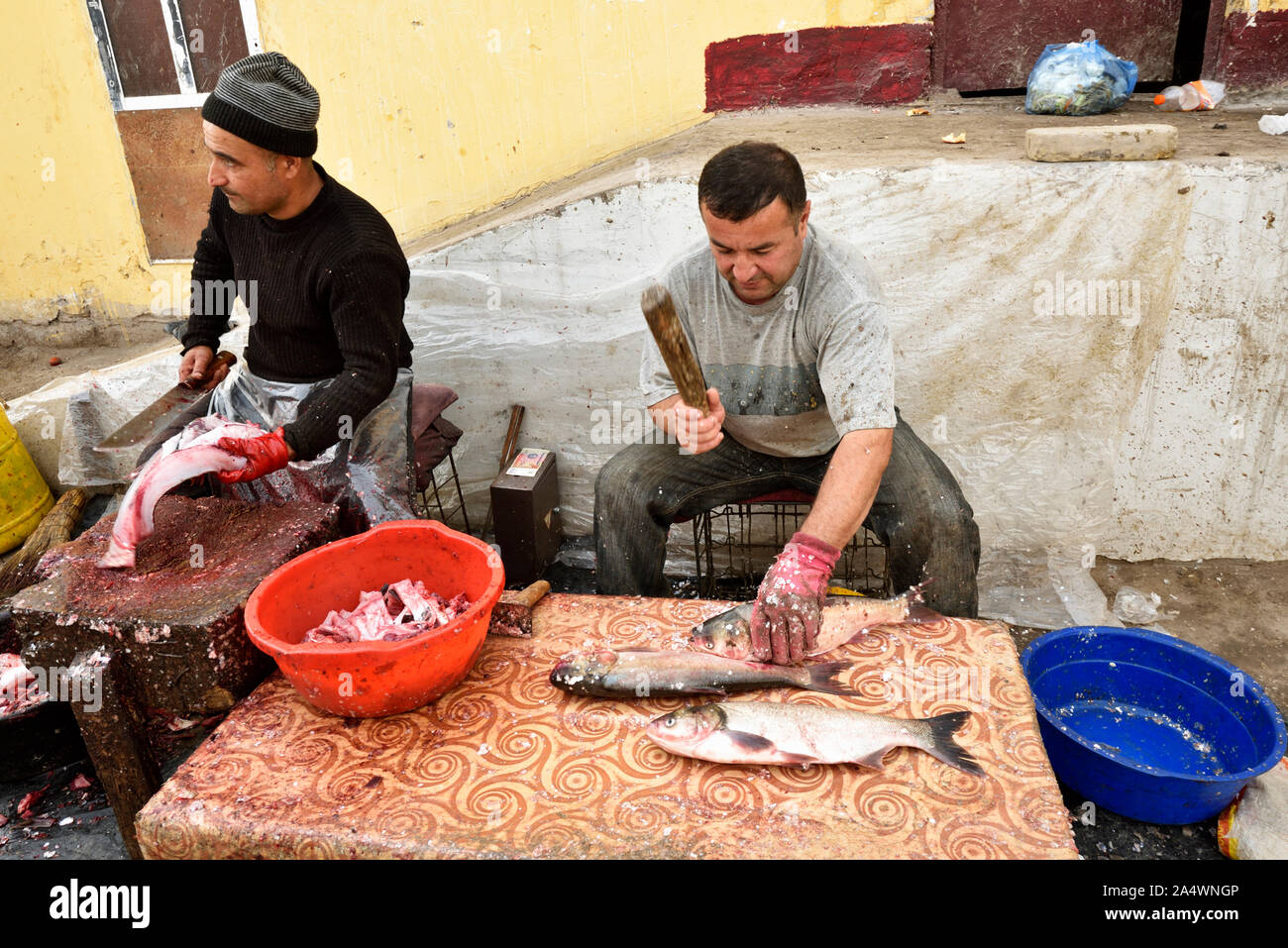 Amu darya -Fotos und -Bildmaterial in hoher Auflösung – Alamy