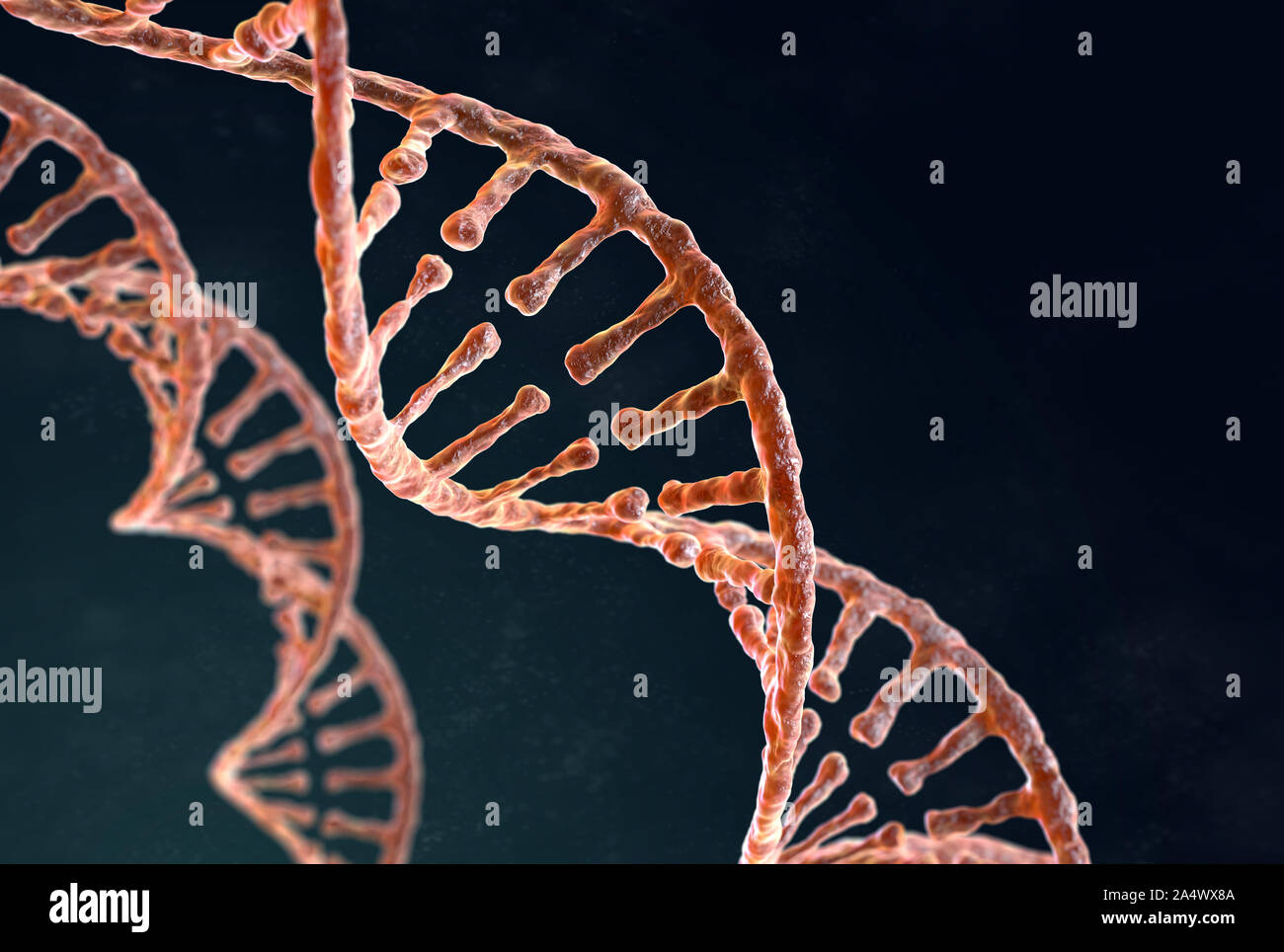 Dna Strang Stockfotos und -bilder Kaufen - Alamy