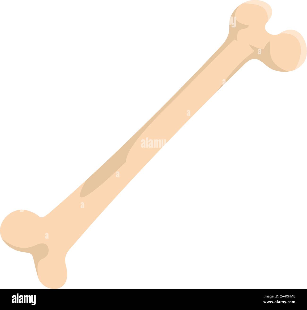 Menschliche Knochen Symbol. Flache Darstellung des menschlichen ...