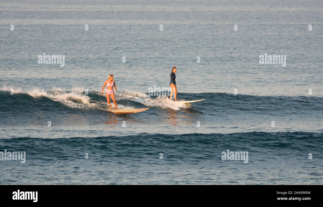 Frauen Surfer Stockfotos und -bilder Kaufen - Alamy