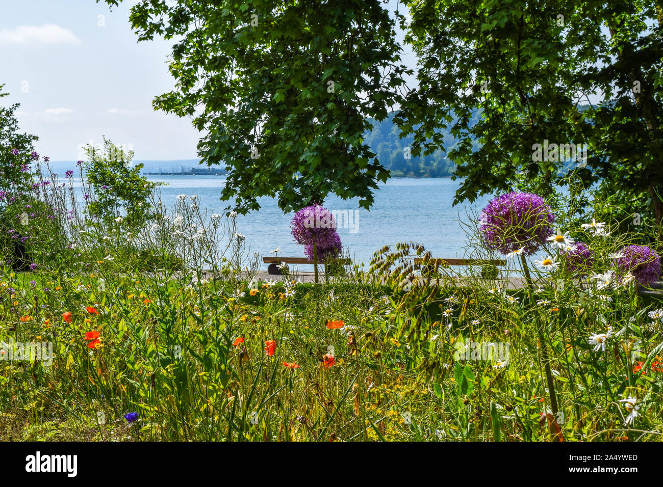 Botanical garden konstanz Stockfotos und -bilder Kaufen - Alamy