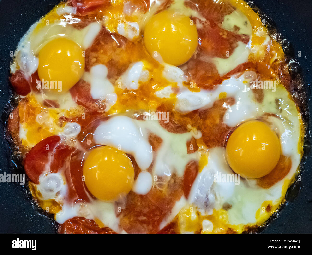 Appetitlich frisch gebratene Eier mit roten süßen Tomaten in einer ...